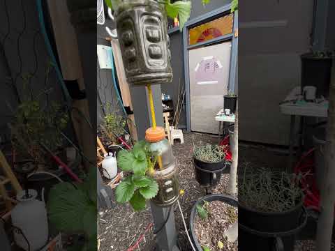 OMG - Oh My Garden Hanging Planter #gardening