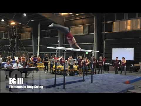 Parallel Bars Explained – Gymnastics Coaching.com