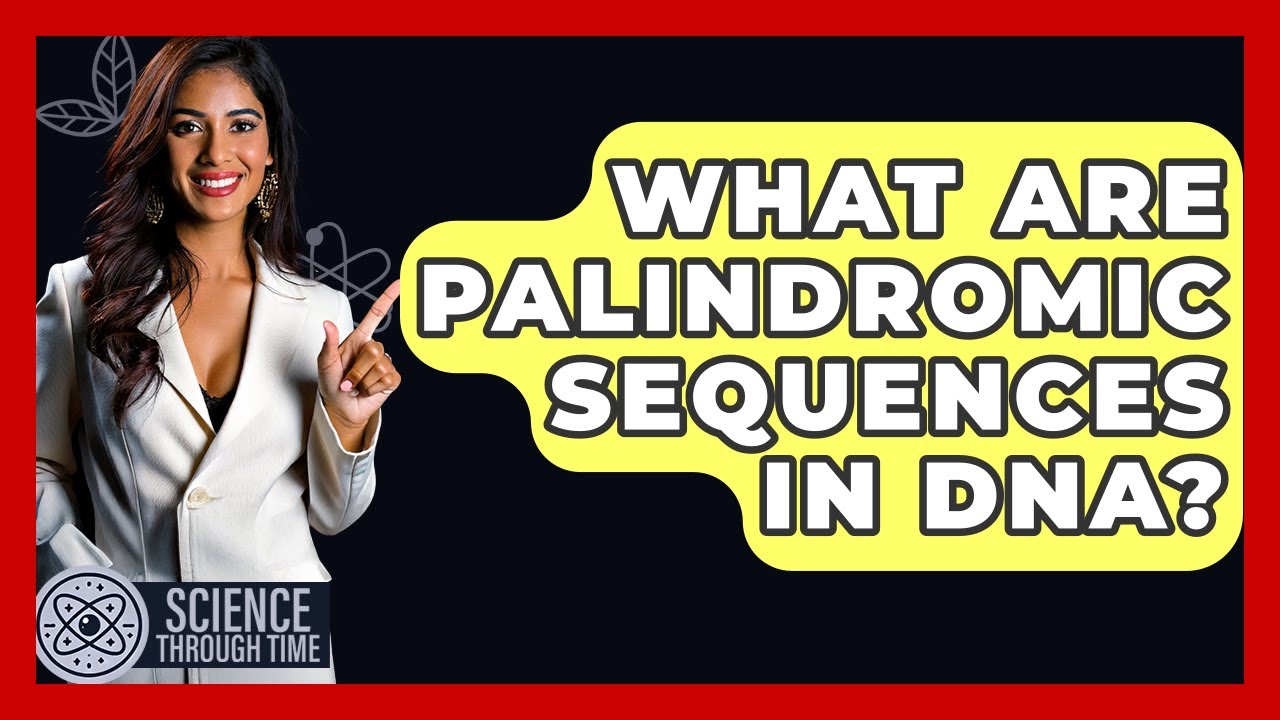 What Are Palindromic Sequences In DNA? - Science Through Time