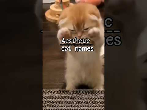 Aesthetic cat names💕🐱 #aesthetic #viral #fypシ #cat #names #catnames