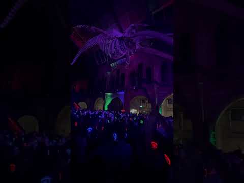 Silent disco at the Natural History Museum