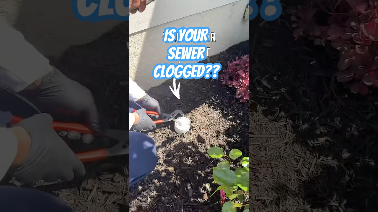 Signs You Have A Clogged Main Sewer Line - Toilet Not Flushing & Bath Tub Or Shower Backing Up