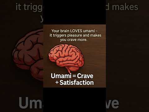 What Is Umami? The 5th Taste That Makes Food Addictive 🍜