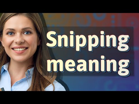 Snipping | meaning of Snipping