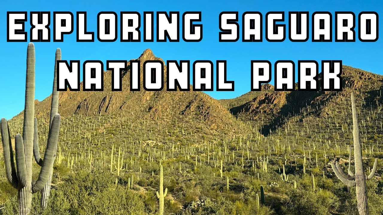 Exploring Saguaro National Park East and West sides
