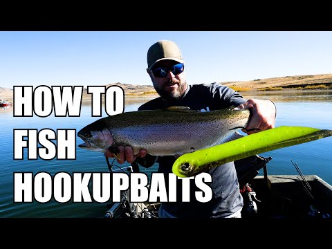 EVERYTHING YOU NEED TO KNOW ABOUT WORKING HOOKUPBAITS