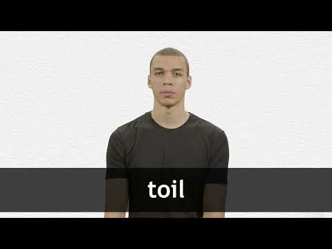 How to pronounce TOIL in American English