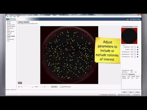 Qpix Software 2.0: Colorimetric Colony Screening
