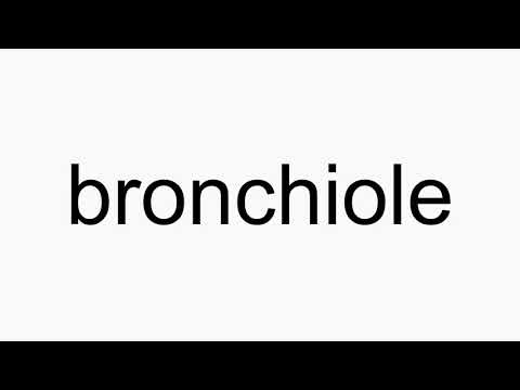How to pronounce bronchiole