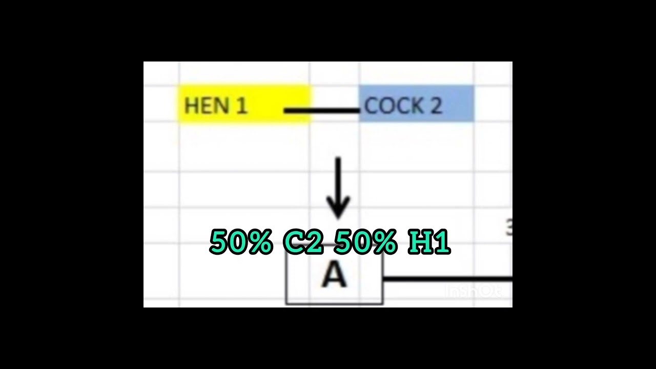 3/4 Sibling Breeding Method