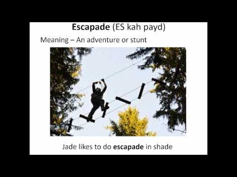 Learn English Vocabulary |Escapade|Noun| Ducksoup