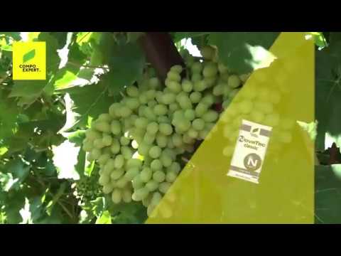 NovaTec® Series - COMPO EXPERT Hellas (AGRO 2020)