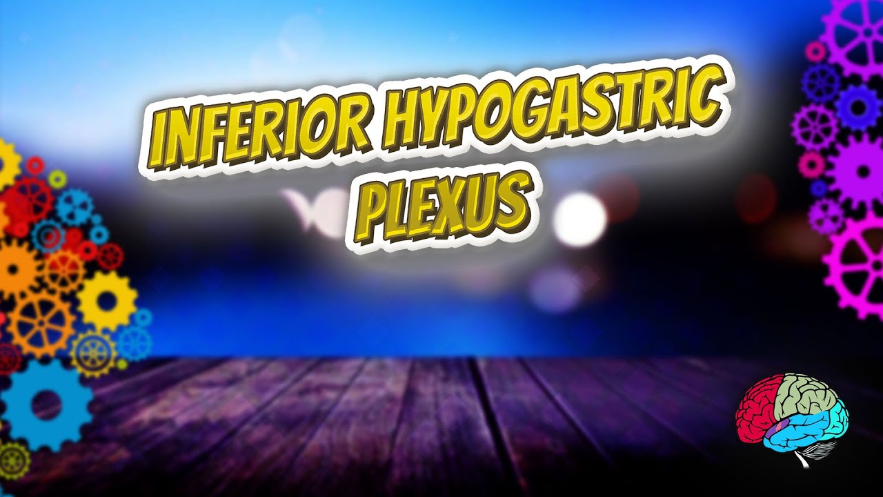Inferior hypogastric plexus - Know It ALL 🔊✅