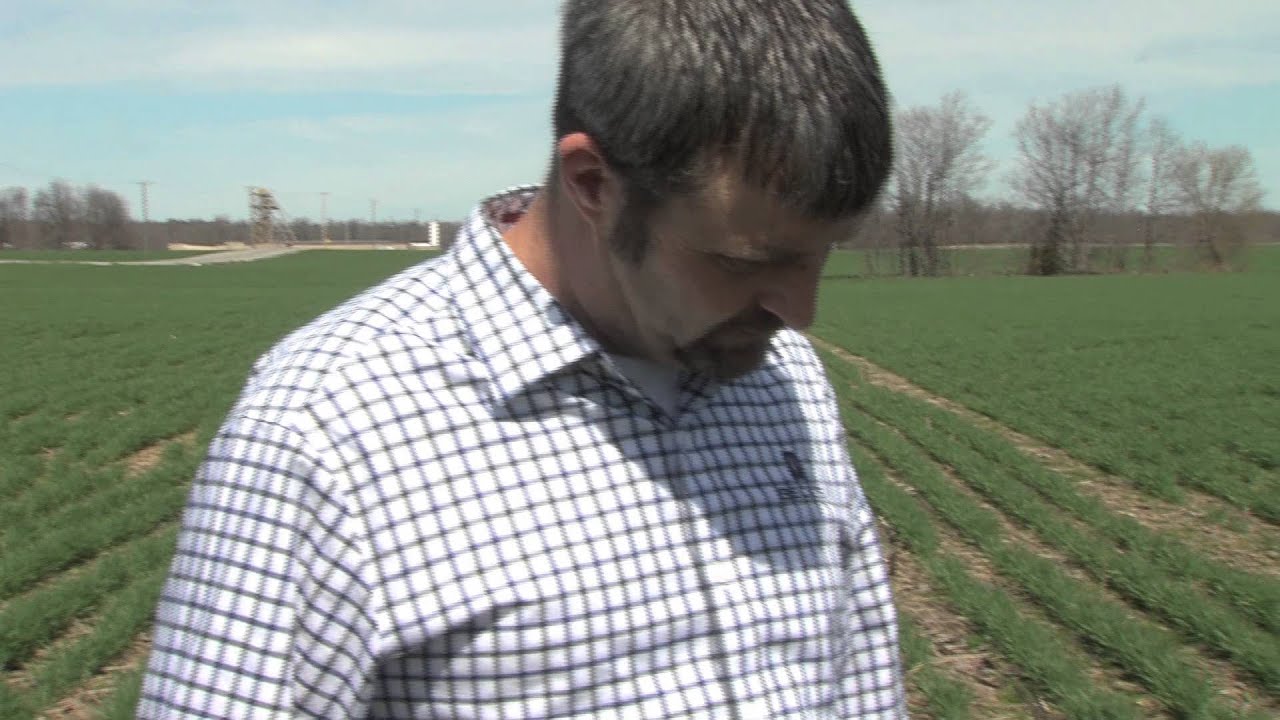 Smart Phone Apps for Farmers