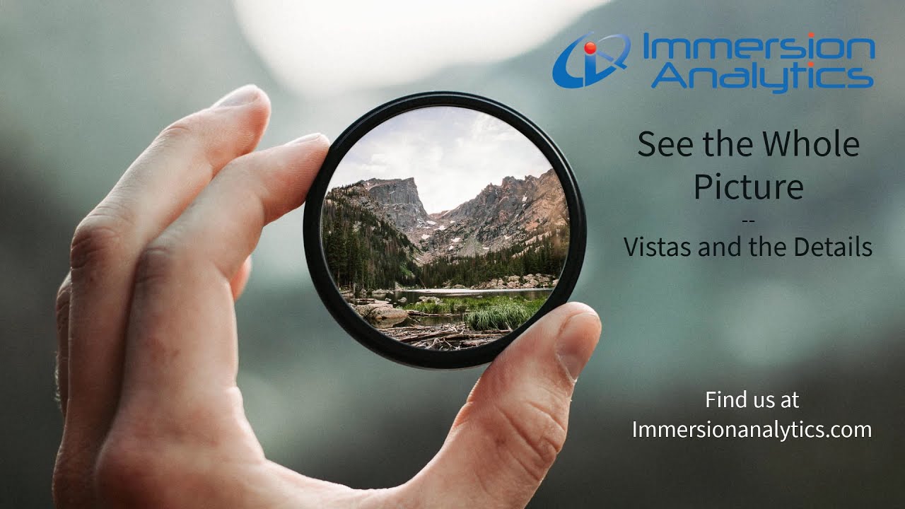 Immersion Analytics: 1st Place Winner - Tableau 2021 DATAdev Hackathon