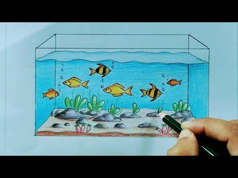 How to draw fish aquarium//Easy fish tank drawing//Aquarium drawing for beginners