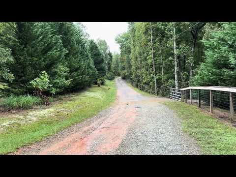 Yesterday Hezbollah’s pagers exploded TODAY their hand-held radios are ...