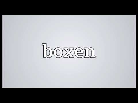 Boxen Meaning