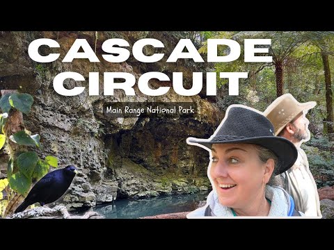 HIKE and EXPLORE: Cascade Circuit, Goomburra Section, Main Range National Park