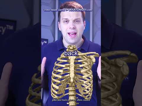 Chest Pain and Back Pain Musculoskeletal Nerve Impingement