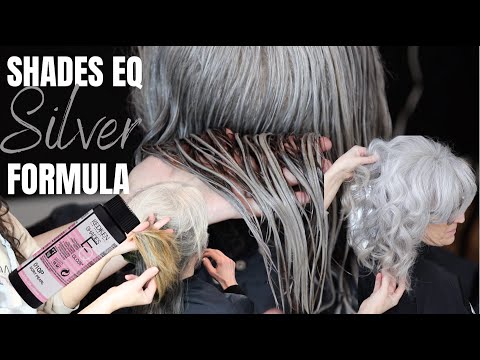 Gray blending hair tutorial + silver shades eq formula!
