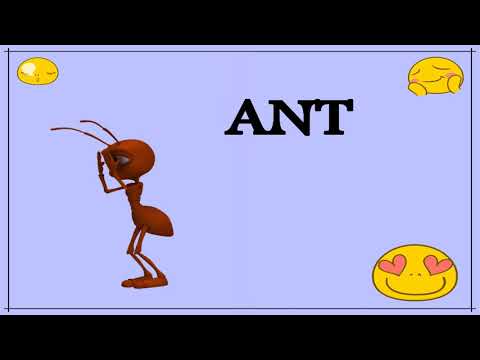 Letter A ( 10 Words that start with A )