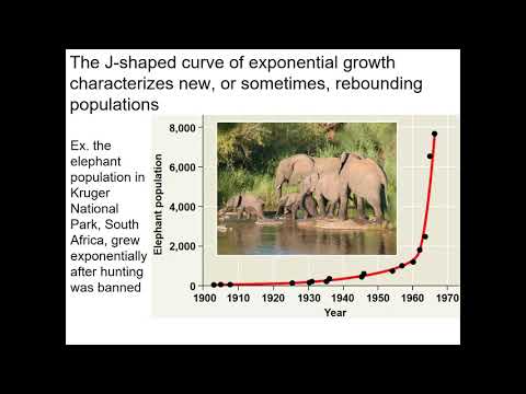 Population Growth AP Biology 53.2