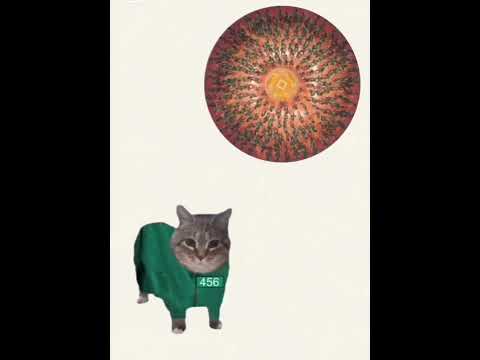 Squid game mingle song cat