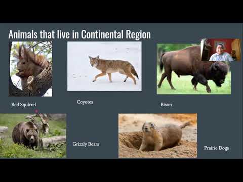 Climates in Different Regions of the World