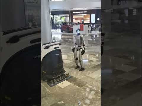 Oops! What happens when a China-made humanoid robot encounters a clean robot in a shopping mall
