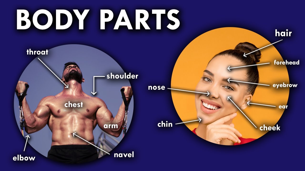 Body Parts Vocabulary
