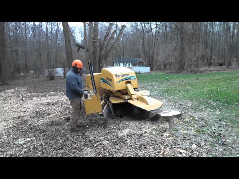 Ridgeline Tree Company - Vermeer SC 60 TX in action
