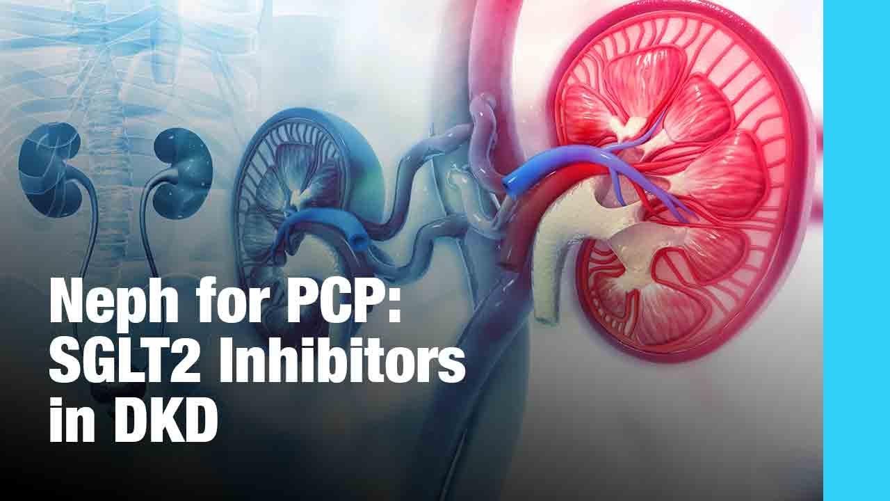 Neph for PCP: SGLT2 inhibitors and Diabetic Kidney Disese