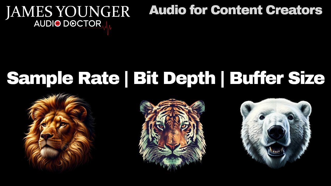 Sample Rate, Bit Depth, Buffer Size - How should you set them?