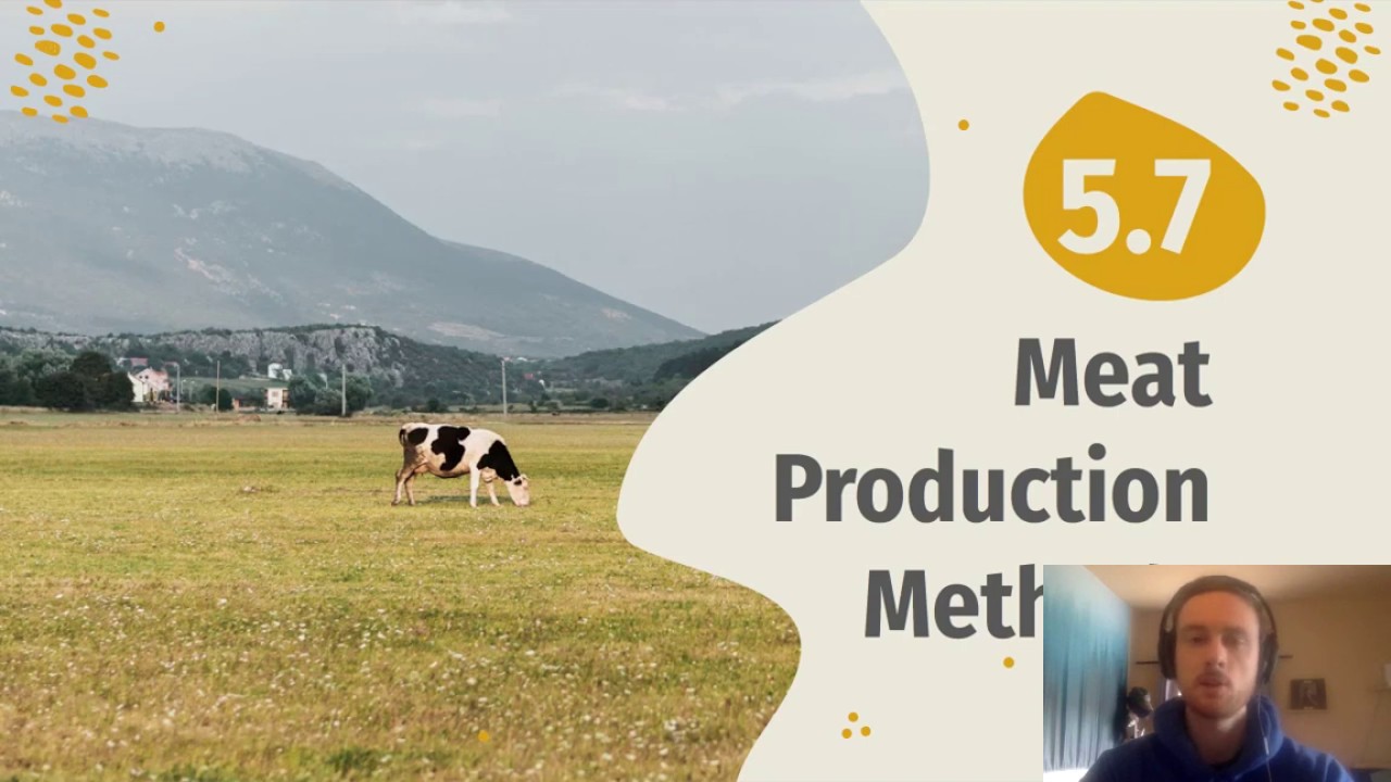Understanding Meat Production: CAFOs vs. Free-Range Grazing | Galaxy.ai