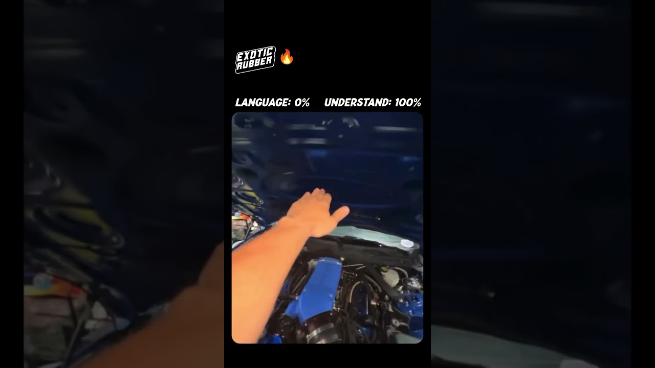 Language 0%, But Understand 100%