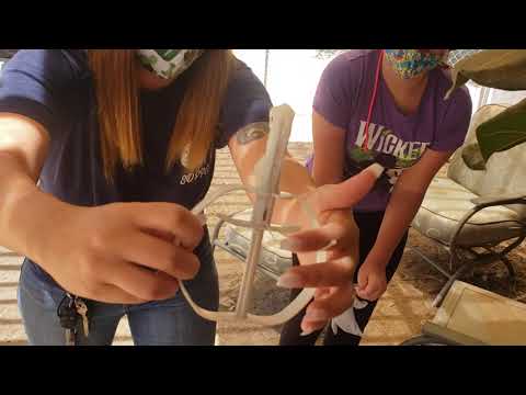 Application of CIDR with Marvel