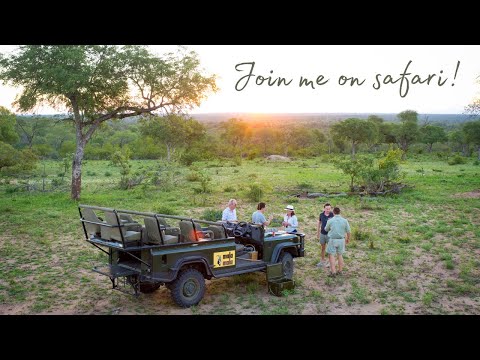 Join me on a photographic safari before the end of the year!