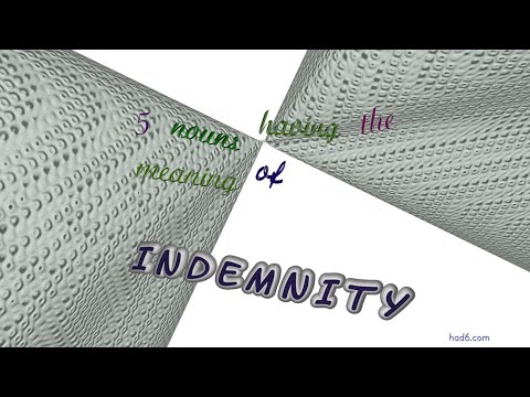 indemnity - 5 nouns which are synonyms to indemnity (sentence examples)