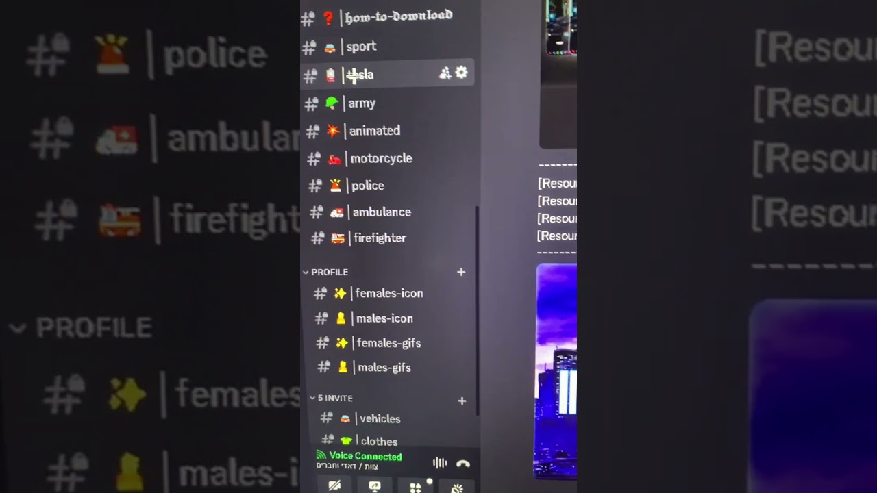 THE BEST FIVEM LEAKS DISCORD SERVERS + Preview