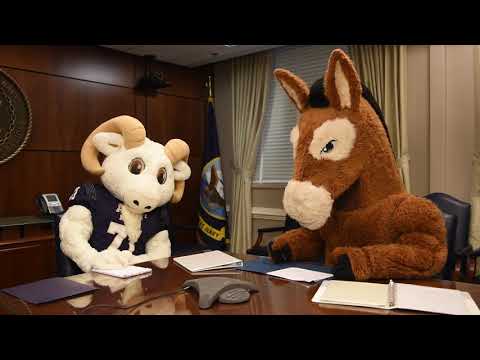 HQ Pre-Game Conference with Team Mascots