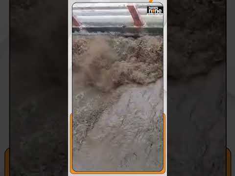 Yamuna Flood Fury: Record-breaking Water Levels, Evacuations, and Citywide Impact | News9