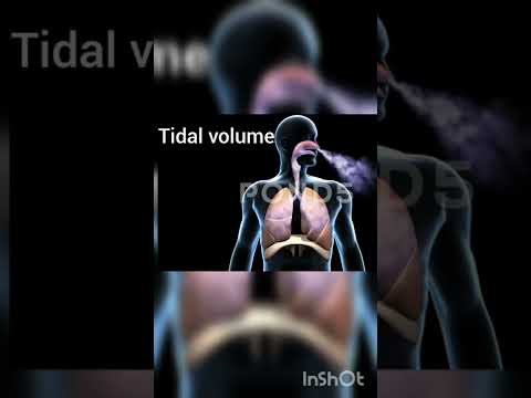 What is Tidal volume? How much?