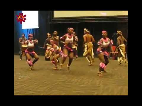 Indlamu eThekwini – The Ulwazi Programme