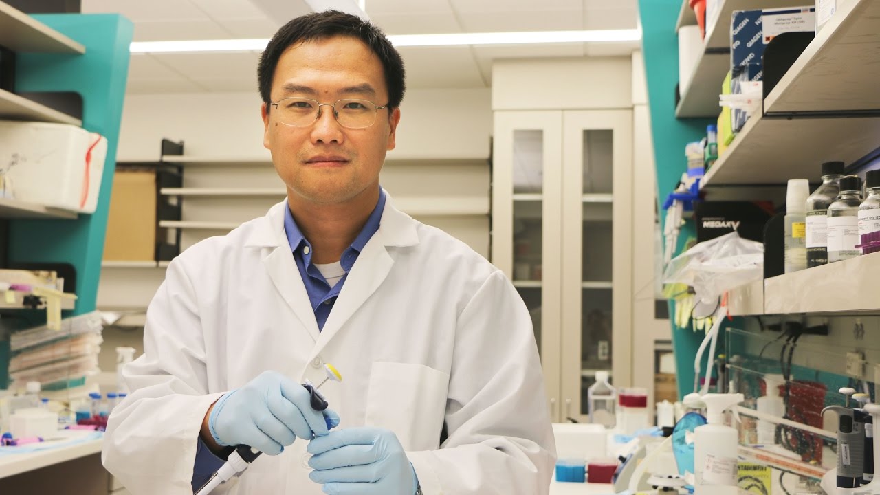 Tumor microenvironment study may improve cancer therapy