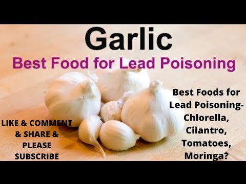 Best Food For Lead Poisoning – Very Informational Video – A Happy Life