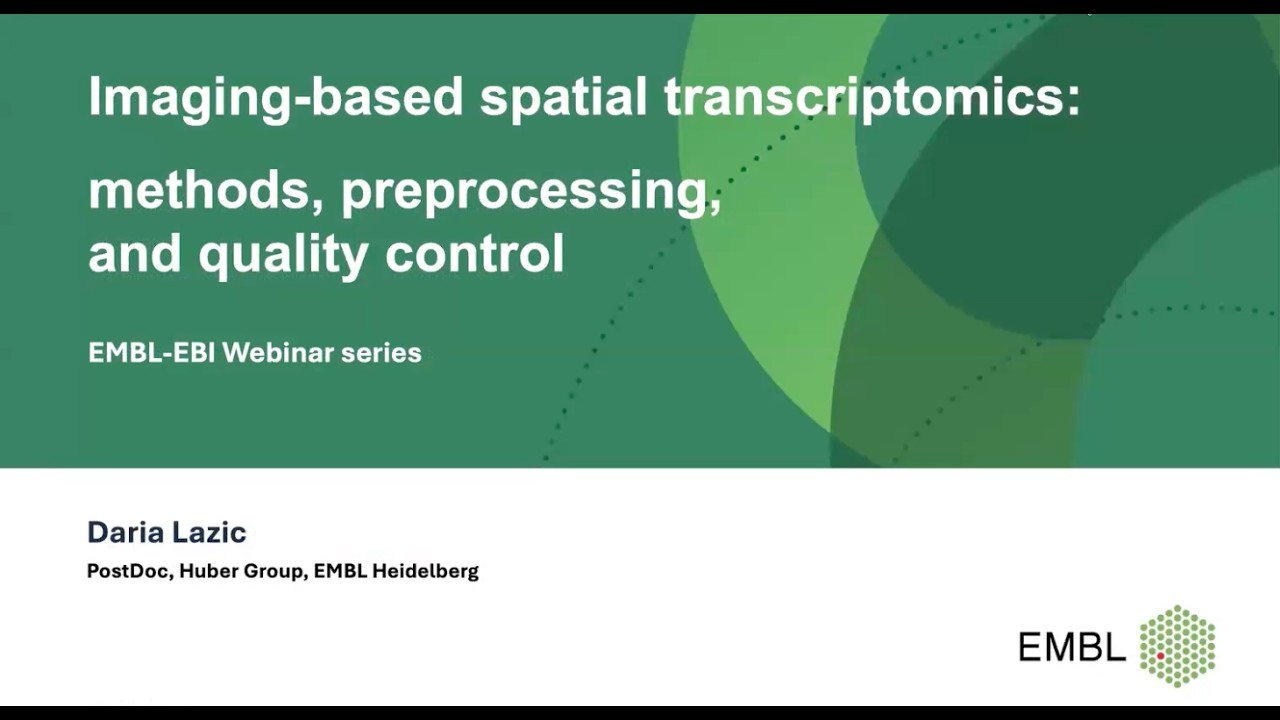 Imaging based spatial transcriptomics  methods  preprocessing and quality control