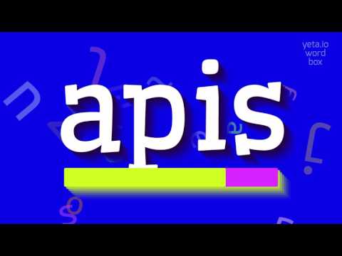 How to say "apis"! (High Quality Voices)