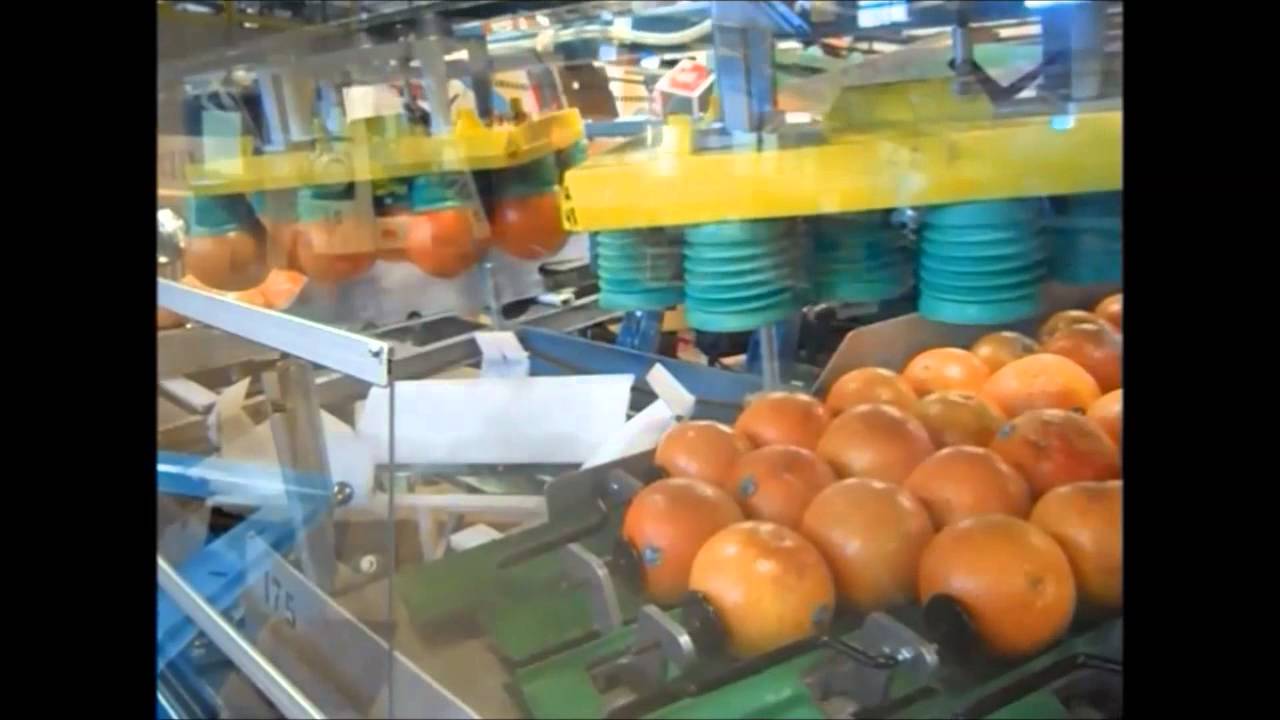 Soft Touch Packmachine Short Overview