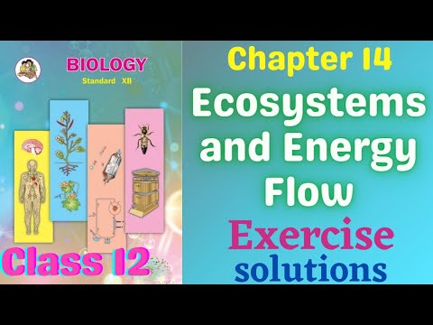 Ecosystems and Energy Flow class 12 biology chapter 14 Exercise solutions